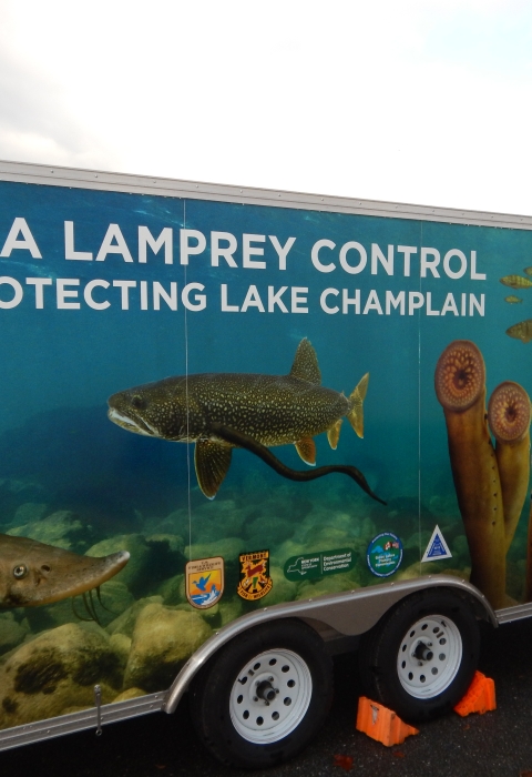 Sea Lamprey Control - Fact Sheets | U.S. Fish & Wildlife Service